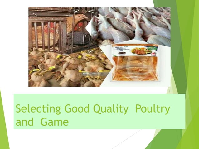 Prepare Poultry and Game Dishes.pptx | Birds | Pets