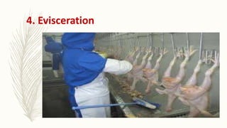 prepare poultry for cooking.pdf