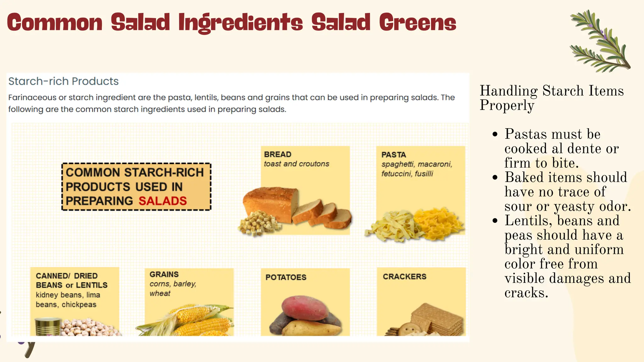 PREPARE SALAD & SALD DRESSING cookery 1. | PDF
