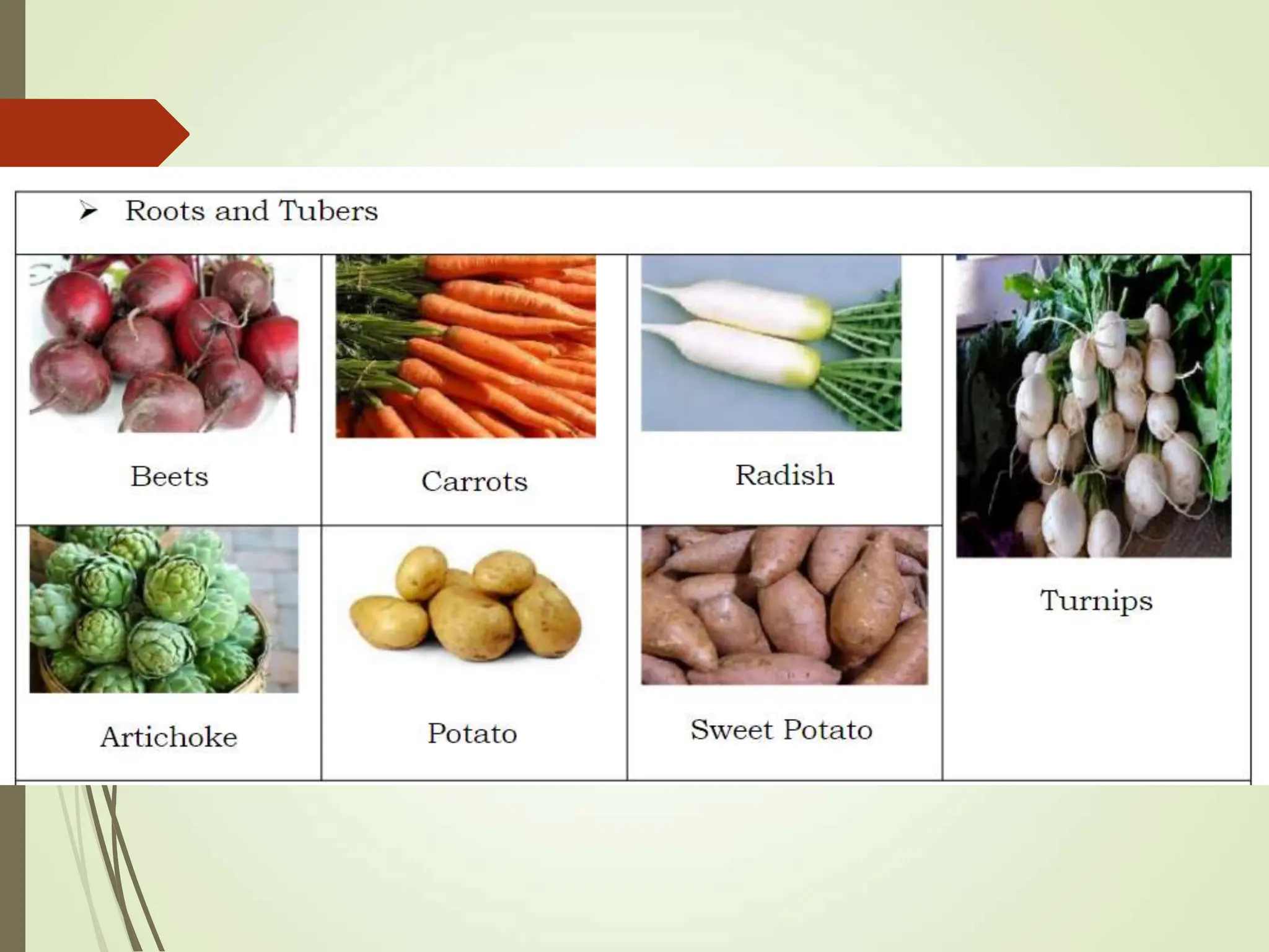 prepare vegetable dishes. ppt. cookery 12 | PPT