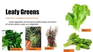 Prepare Vegetable Dishes.pptx*Classification of vegetables * Guidelines ...