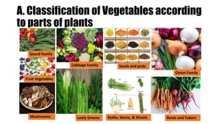 Prepare Vegetable Dishes.pptx*Classification of vegetables * Guidelines ...