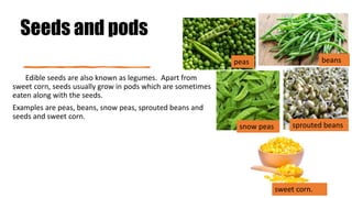 Prepare Vegetable Dishes.pptx*Classification of vegetables * Guidelines ...