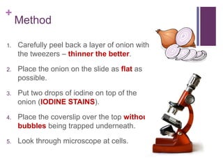 Preparing a cheek cell slide | PPTX