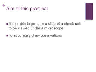 Preparing a cheek cell slide | PPTX