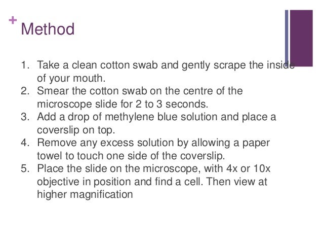 Preparing a cheek cell slide