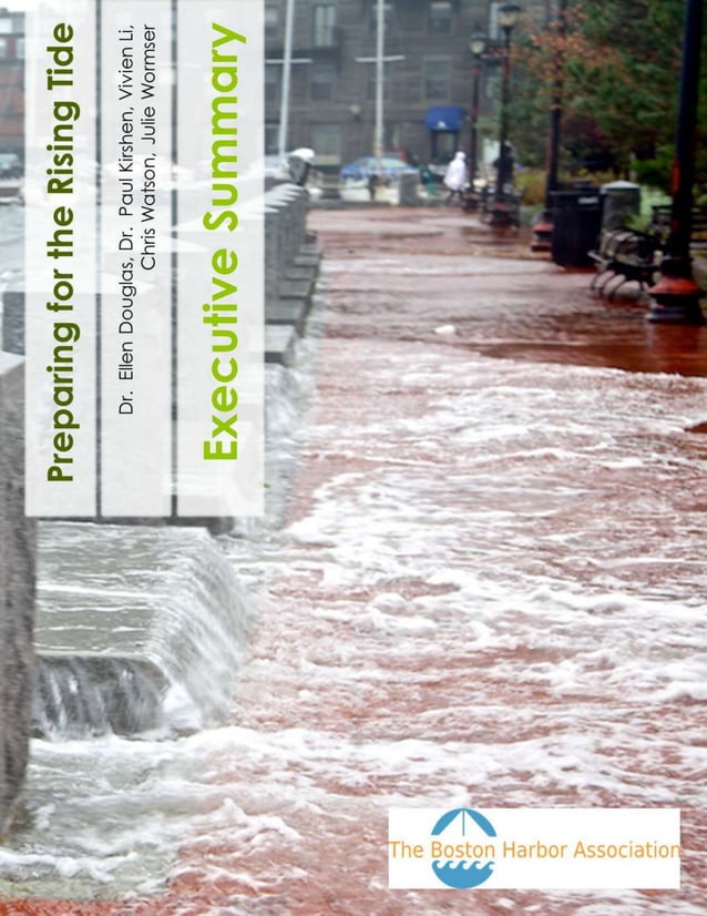 Preparing for the Rising Tide: Executive Summary | PDF