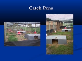 Preparing for the season | PPT