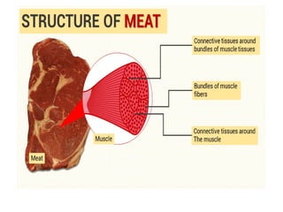 Preparing Meat Dishes cookery nc ii core | PPTX