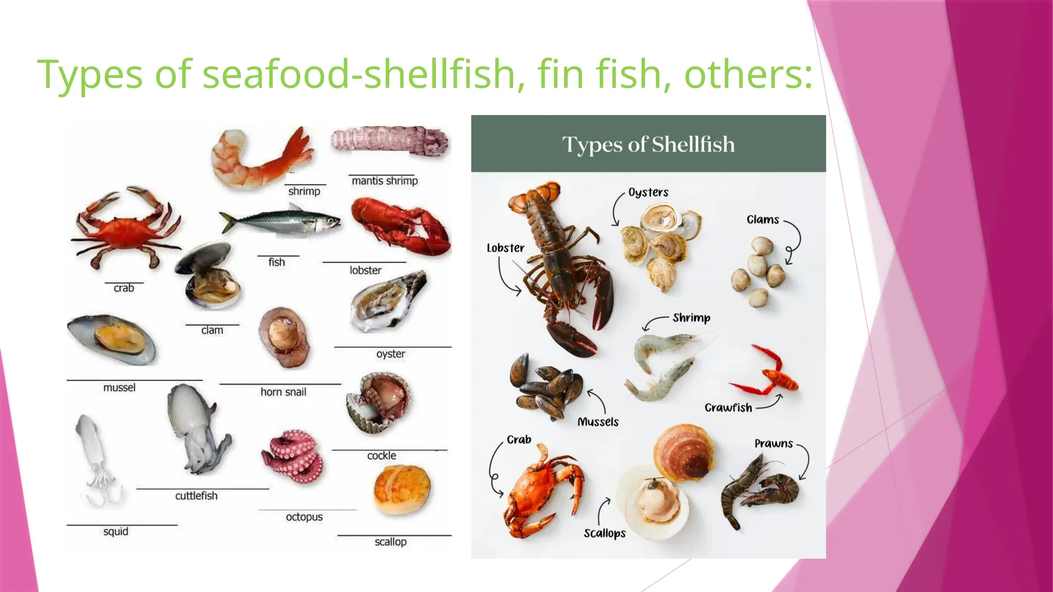 Preparing Seafoods and other sea creatures.pptx