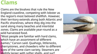 Preparing Seafoods and other sea creatures.pptx