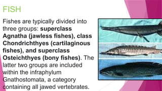 Preparing Seafoods and other sea creatures.pptx