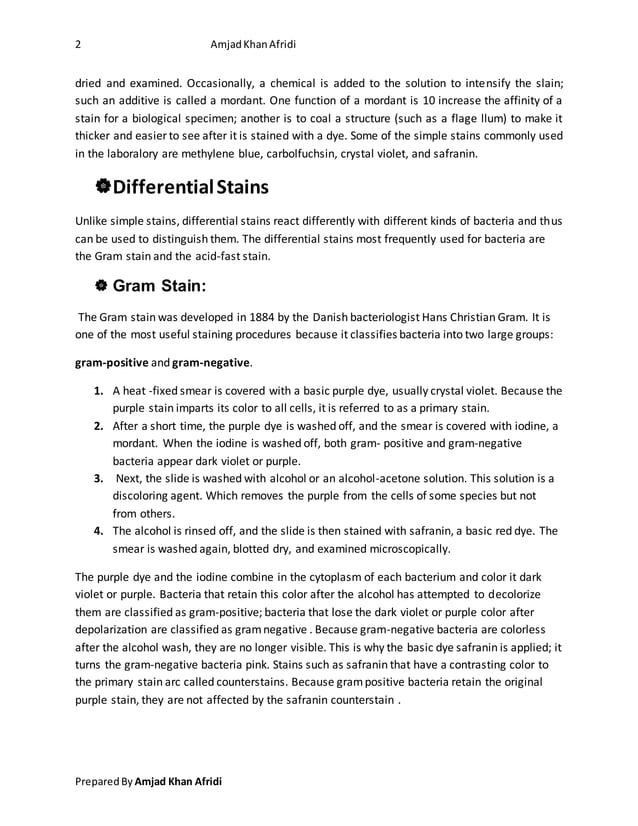 Different stains | PDF