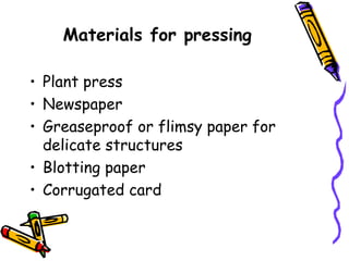 Preparing the herbarium | PPT