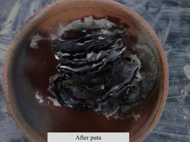 Prepatation of arka lavana | PPTX