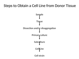 Preperation of Cell Line_animal cell culture.pptx