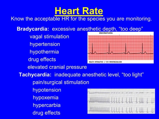 Pre_Peri_and_Post_Operative_Care-Kim_Bayer.pptx