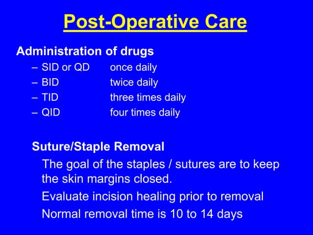 Pre_Peri_and_Post_Operative_Care-Kim_Bayer.pptx