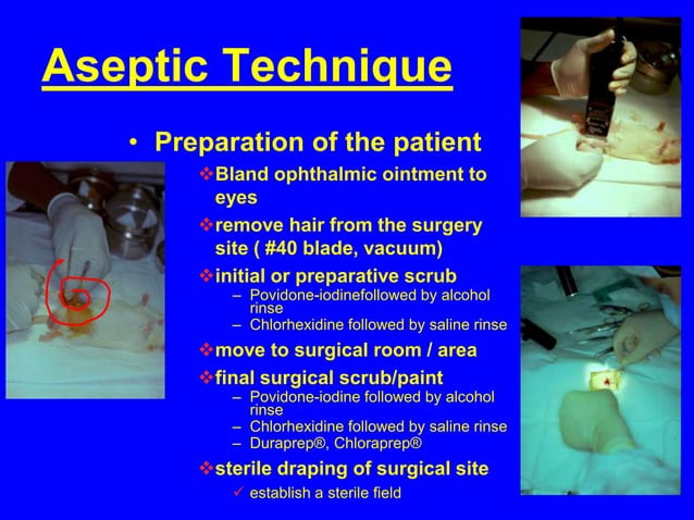 Pre_Peri_and_Post_Operative_Care-Kim_Bayer.pptx