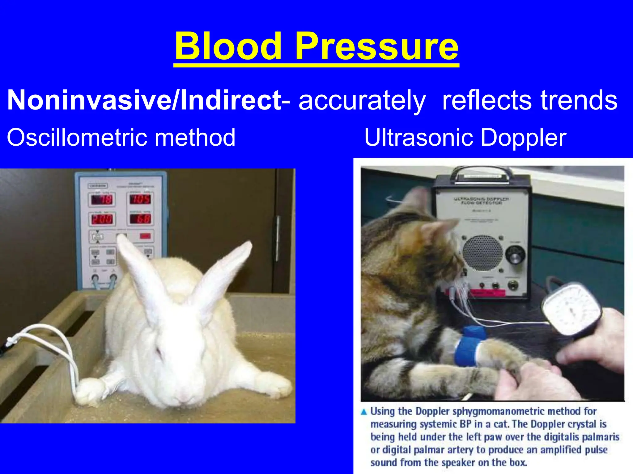 Pre_Peri_and_Post_Operative_Care-Kim_Bayer.ppt