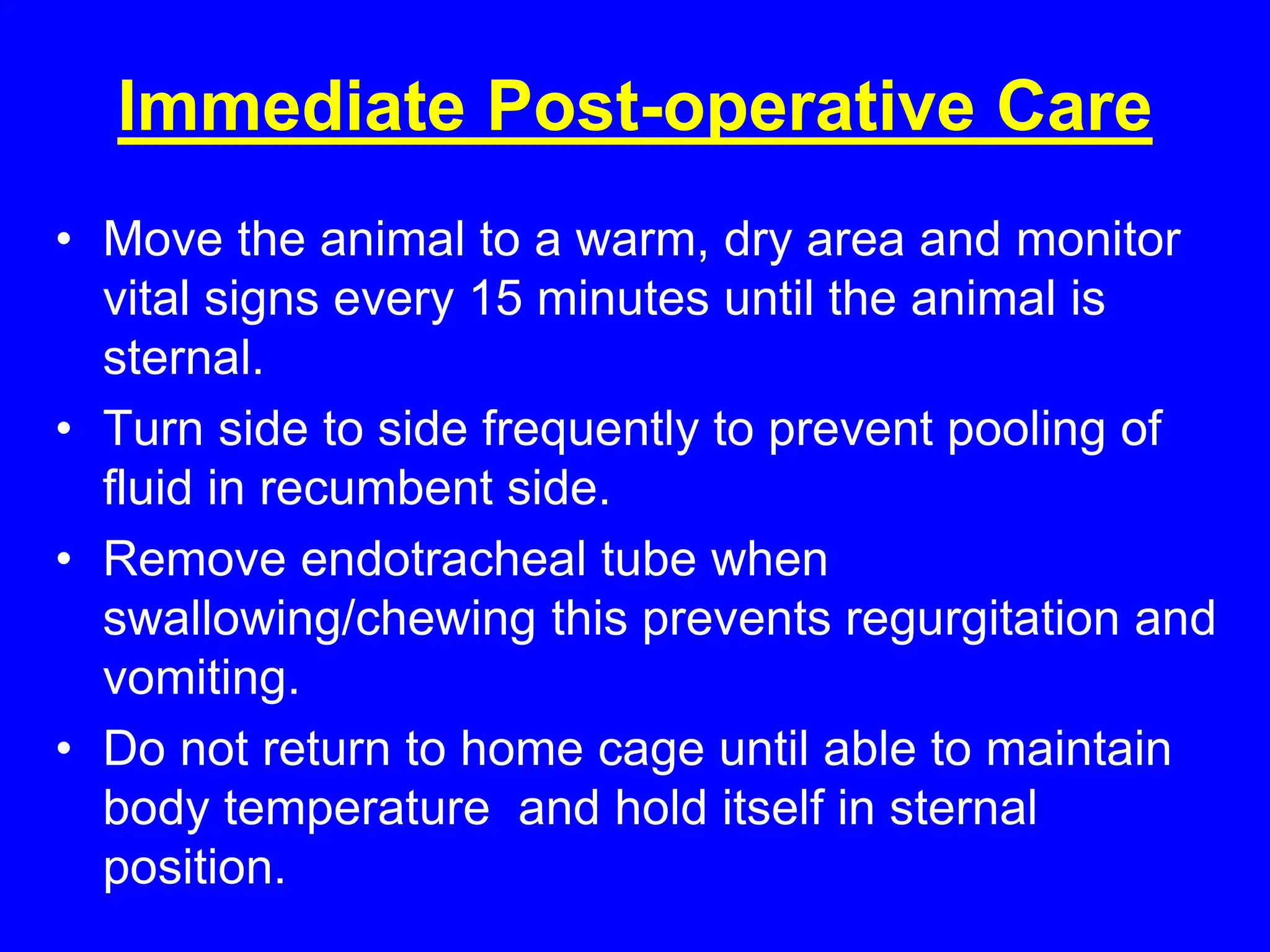 Pre_Peri_and_Post_Operative_Care-Kim_Bayer.ppt