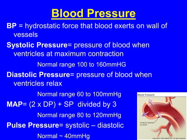 Pre_Peri_and_Post_Operative_Care-Kim_Bayer.ppt