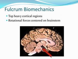 Prep family lecture_shepherd | PPT