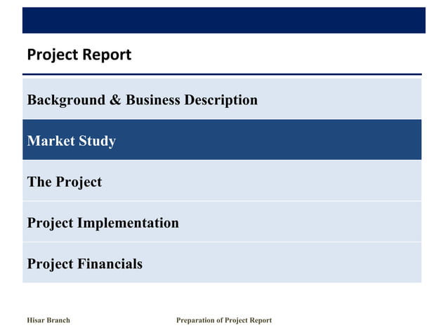 Preparation of Project Report | PPT