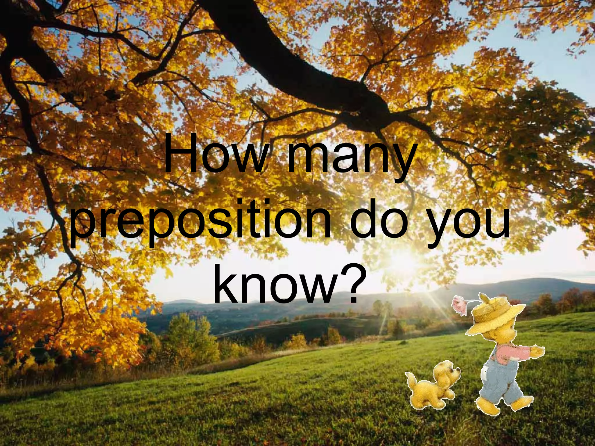 Preposition | PPT