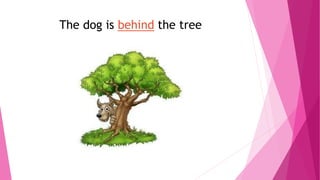 Preposition | PPTX