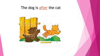 Preposition | PPTX