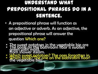 Prepositions | PPTX