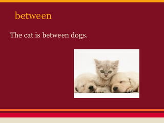 Preposition of place | PPT