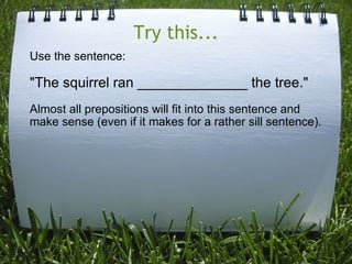 Tree Squirrel Prepositions