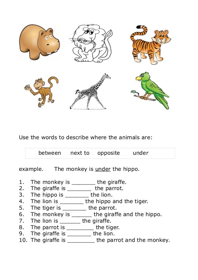 Where Is The Animal Preposition Worksheets Preposition