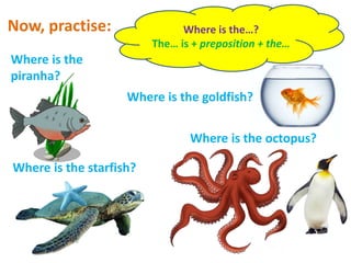 Prepositions | PPT