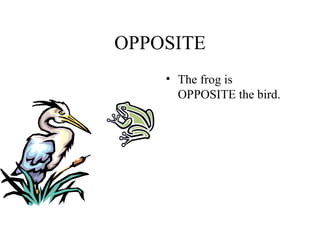 Prepositions Of Place | PPT