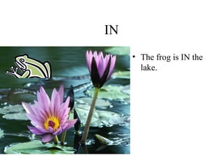 Prepositions Of Place | PPT