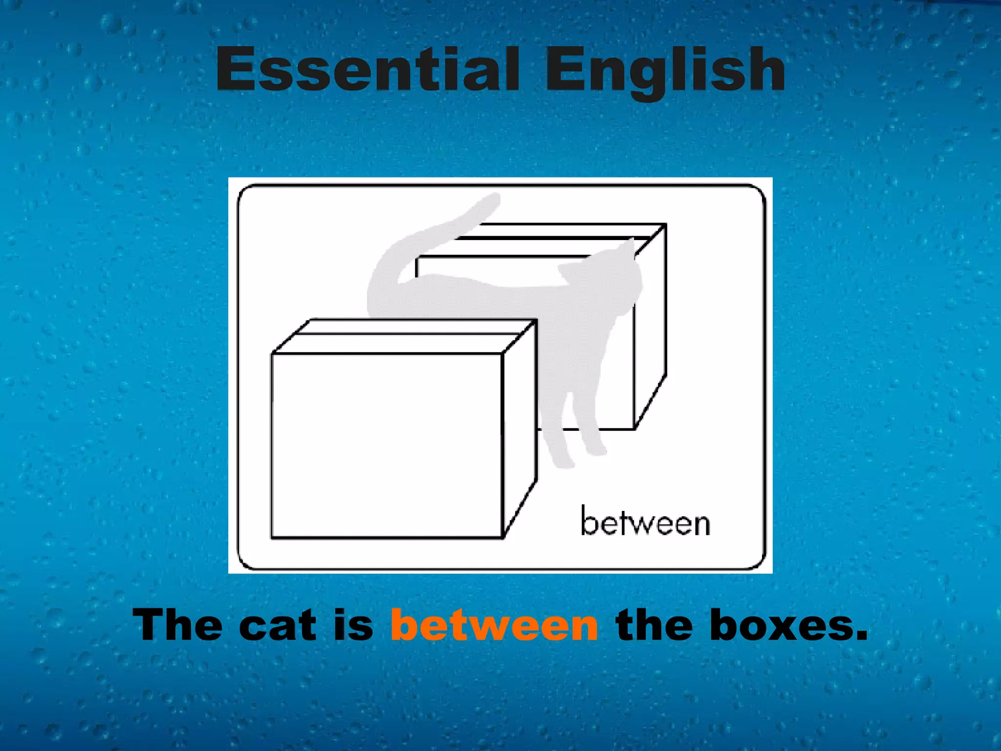 Prepositions Of Place Movement | PPT