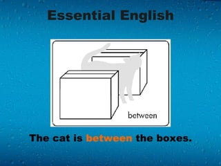 Prepositions Of Place Movement | PPT