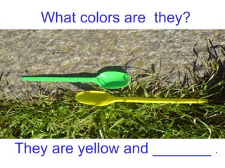 Prepositions & Colors 練習 | PPT