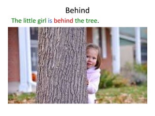 Prepositions of location | PPTX