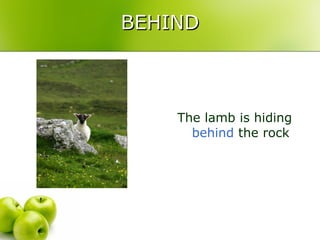 Prepositions of place | PPT