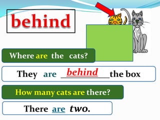 Prepositions of place | PPTX