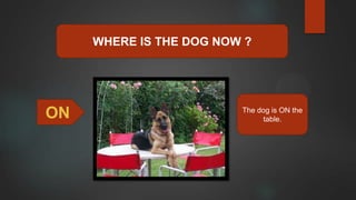 Prepositions of place | PPTX