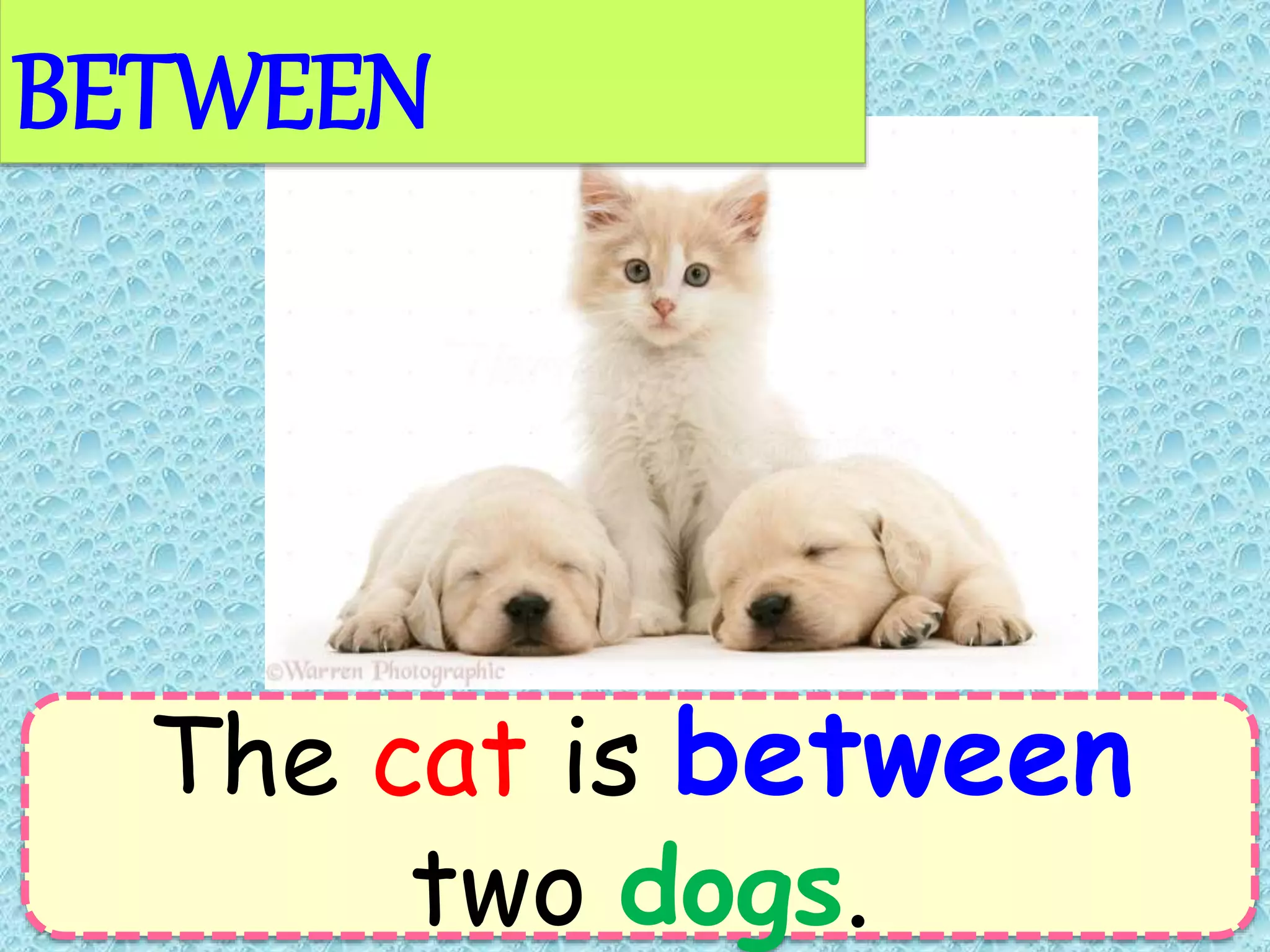 Prepositions of place | PPTX