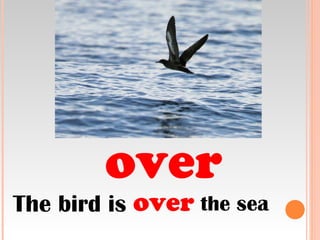 Prepositions of place | PPT