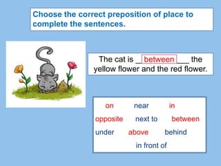 Prepositions of place | PPT