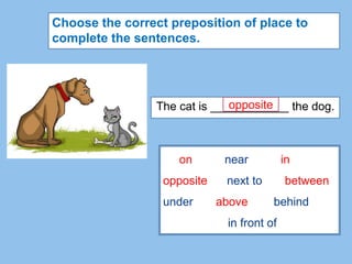Opposite Preposition