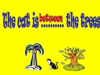 Prepositions of place 1 | PPT